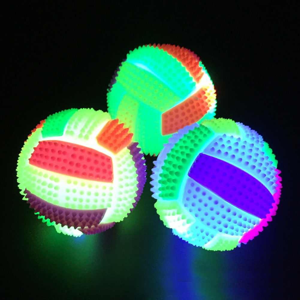 LED LightUp Ball for Dogs (Free Shipping) | HappyDog